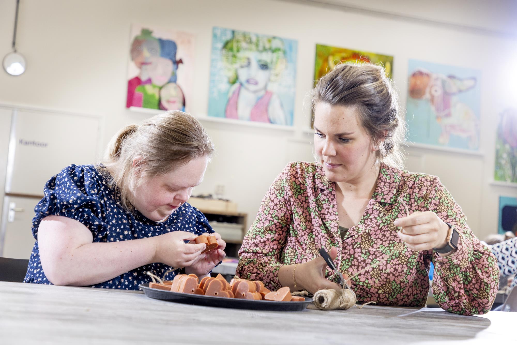 Vacature Begeleider Dagbesteding / Sjop / 16 uur - Begeleider ...